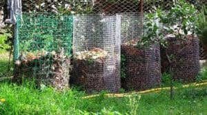 Compostaggio: Significato e Rifiuti Compostabili